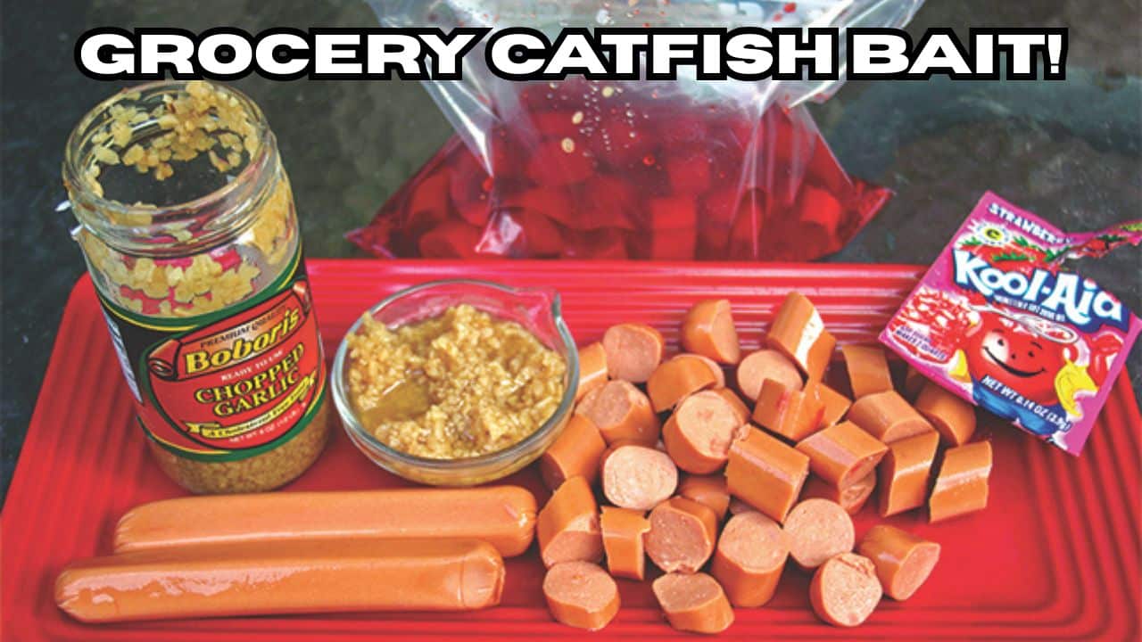 Best Catfish Bait from the Grocery Store – Barb Catch Fishing