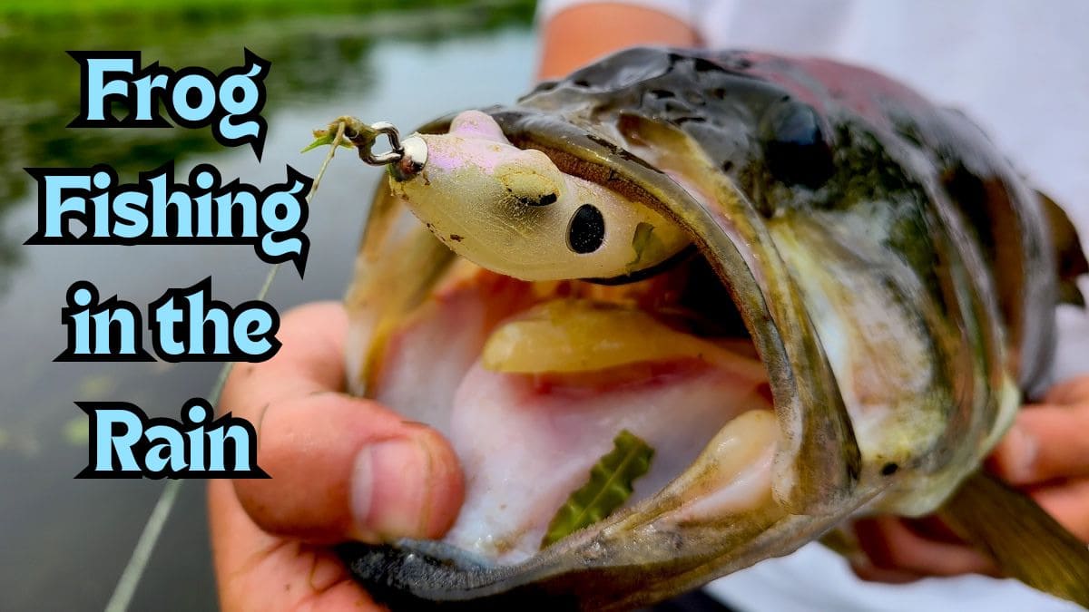 Frog Fishing in the Rain – Barb Catch Fishing