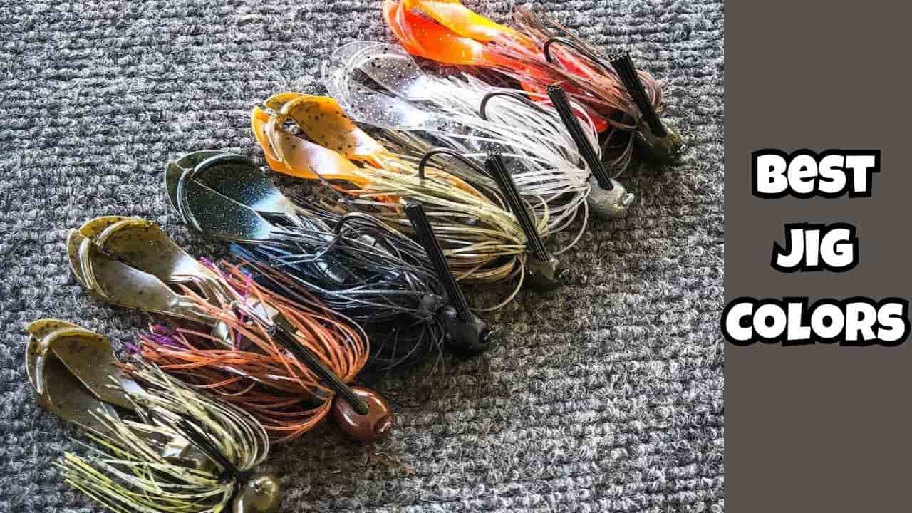 The 2 Best Bass Jig Colors – Barb Catch Fishing